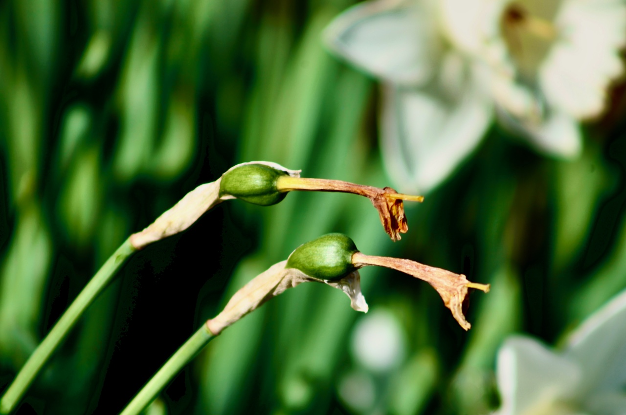 It's not polite to point | Shutterbug